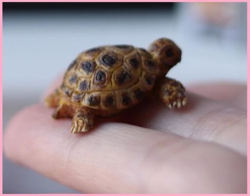 Polymer clay ideas animals | 44 DIY photos